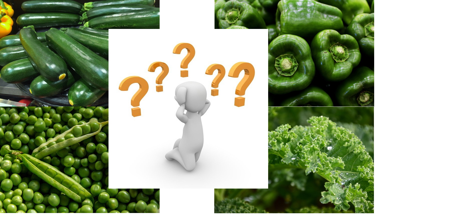 panel-2-veggies-with-question-mark - Better Wellness Guide